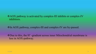 Vernalisation and aox pathway! | PPT