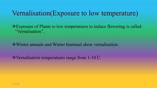 Vernalisation and aox pathway! | PPT