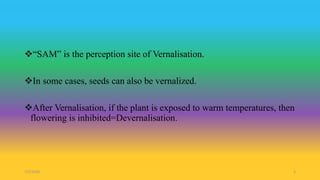 Vernalisation and aox pathway! | PPT