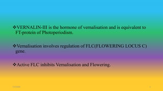 Vernalisation and aox pathway! | PPT