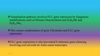 Vernalisation and aox pathway! | PPT