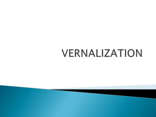 Vernalization (Plant Physiology) | PPTX