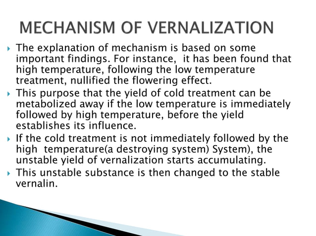 Vernalization (Plant Physiology) | PPTX | Gardening | Home & Garden