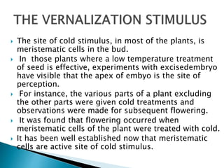 Vernalization (Plant Physiology) | PPTX