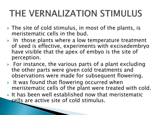 Vernalization (Plant Physiology) | PPTX | Gardening | Home & Garden