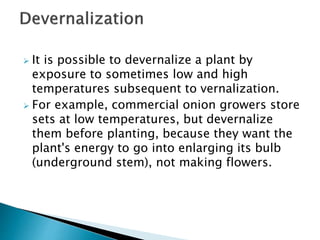 Vernalization (Plant Physiology) | PPTX