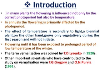 Vernalization | PPTX | Gardening | Home & Garden