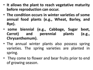 Vernalization | PPTX | Gardening | Home & Garden
