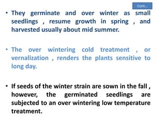 Vernalization | PPTX | Gardening | Home & Garden