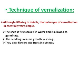 Vernalization | PPTX | Gardening | Home & Garden
