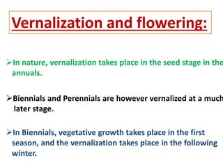 Vernalization | PPT
