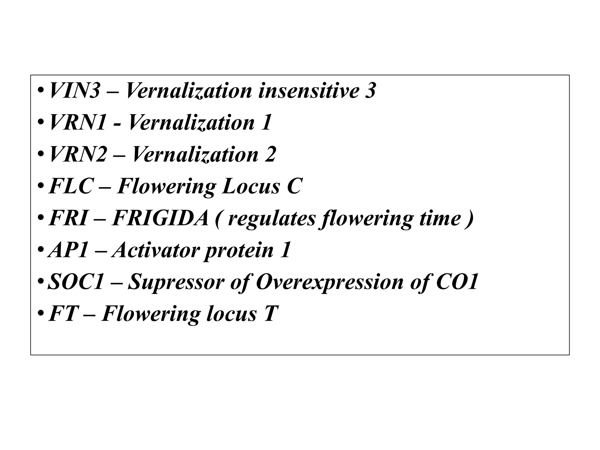 Vernalization | PPTX