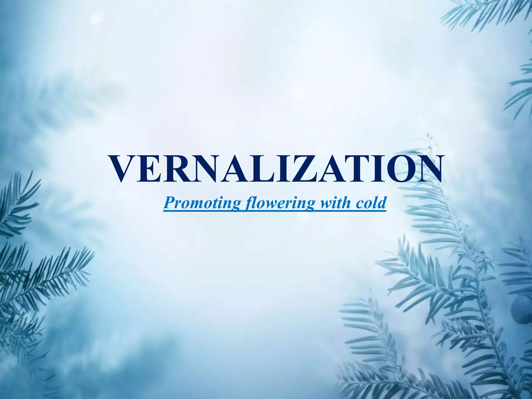 Vernalization | PPTX