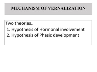 Vernalization | PPTX