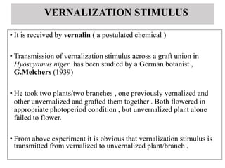 Vernalization | PPTX