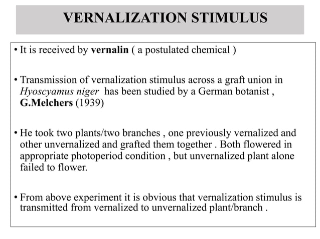 Vernalization | PPTX