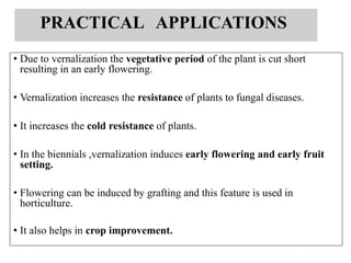 Vernalization | PPTX