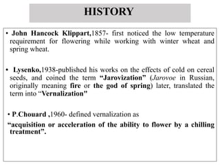 Vernalization | PPTX