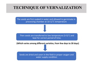 Vernalization | PPTX