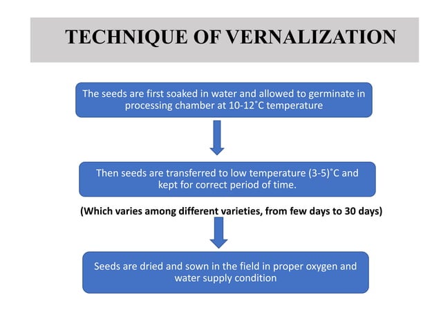 Vernalization | PPTX