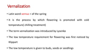 Vernalization | PPT