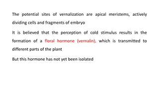 Vernalization | PPT