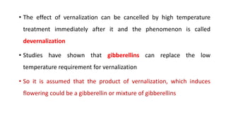 Vernalization | PPT