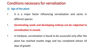 Vernalization | PPT