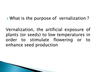 Vernalization | PPTX