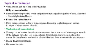 Vernalization | PPTX