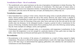 Vernalization | PPTX