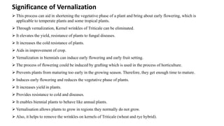 Vernalization | PPTX