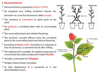 Vernalizationand its importance in plants.ppt