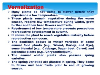 Vernalization - concept and significance | PPTX