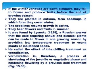 Vernalization - concept and significance | PPTX