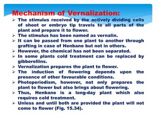 Vernalization - concept and significance | PPTX