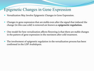 Vernalization in Plants.pptx