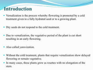 Vernalization in Plants.pptx