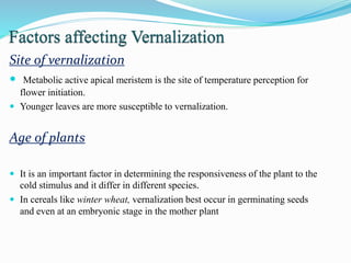 Vernalization in Plants.pptx
