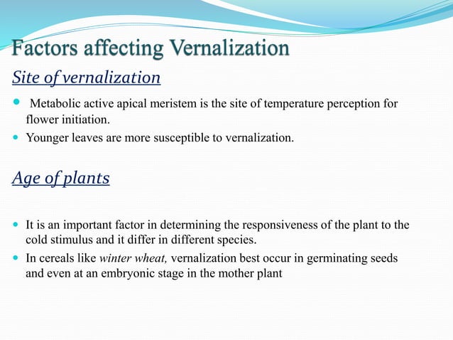 Vernalization in Plants.pptx