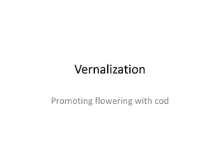 Vernalization | PPT