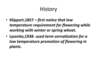 Vernalization | PPT