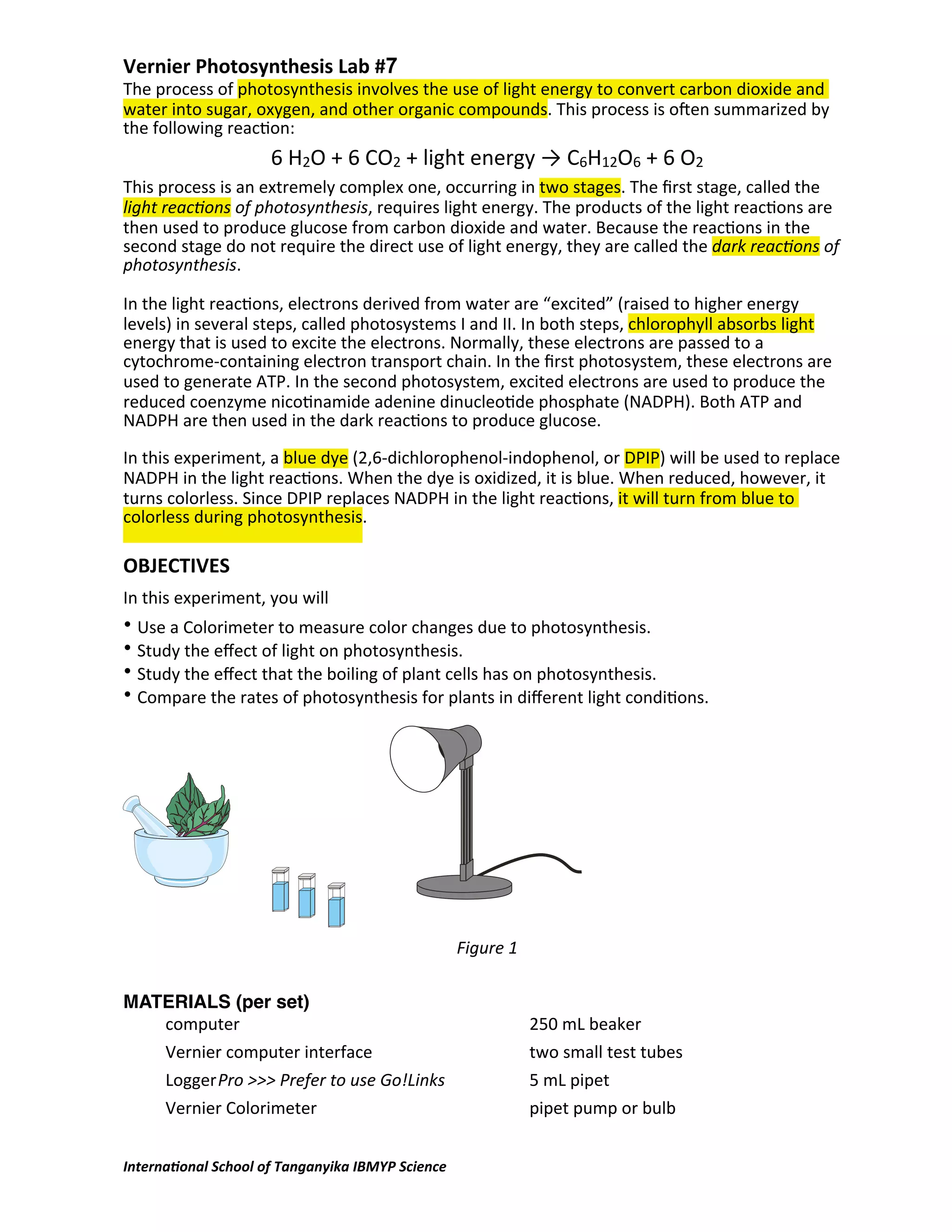 Vernier Photosynthesis Lab #7 | PDF