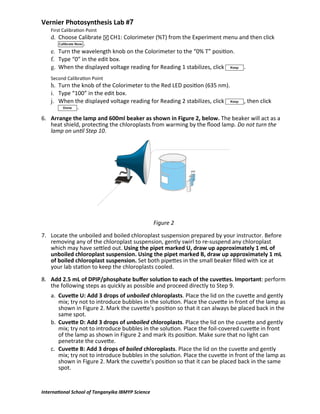 Vernier Photosynthesis Lab #7 | PDF | Chemistry | Science