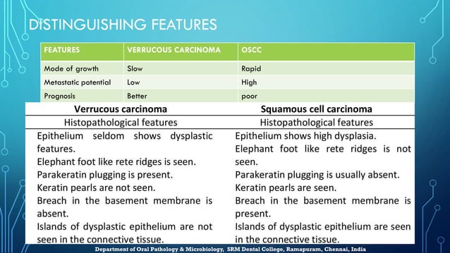 Verruocus Carcinoma - Clinical and histopathological features | PDF ...