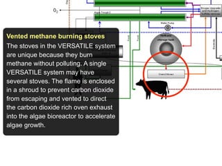 Versatile System | PDF
