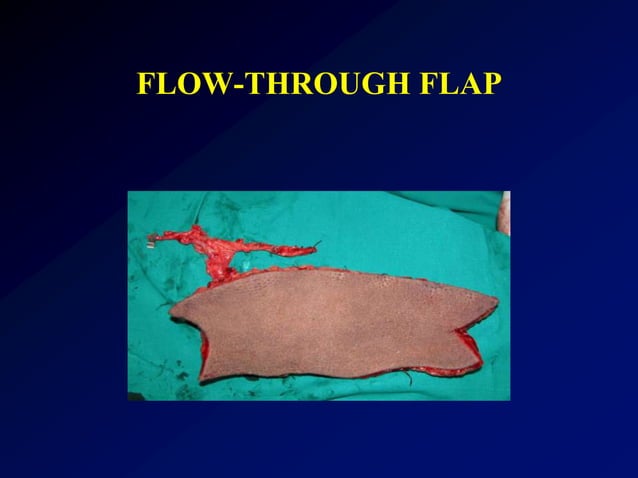 Versatility of anterolateral thigh free flap n. rajacic md | PDF ...