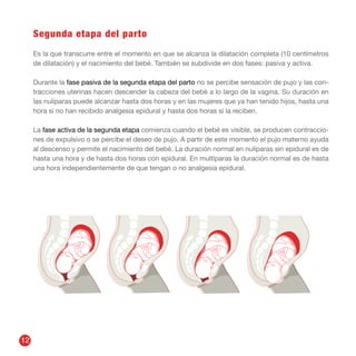 Guía de ATENCIÓN AL PARTO NORMAL | PDF