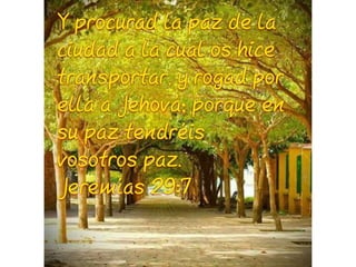 Versículos Bíblicos | PPT