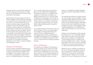 Översiktsplan 2040 bilaga 1 | PPT